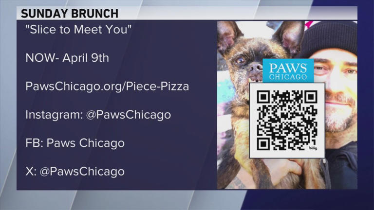 Sunday brunch: PAWS Chicago using pizza to raise money for a great cause