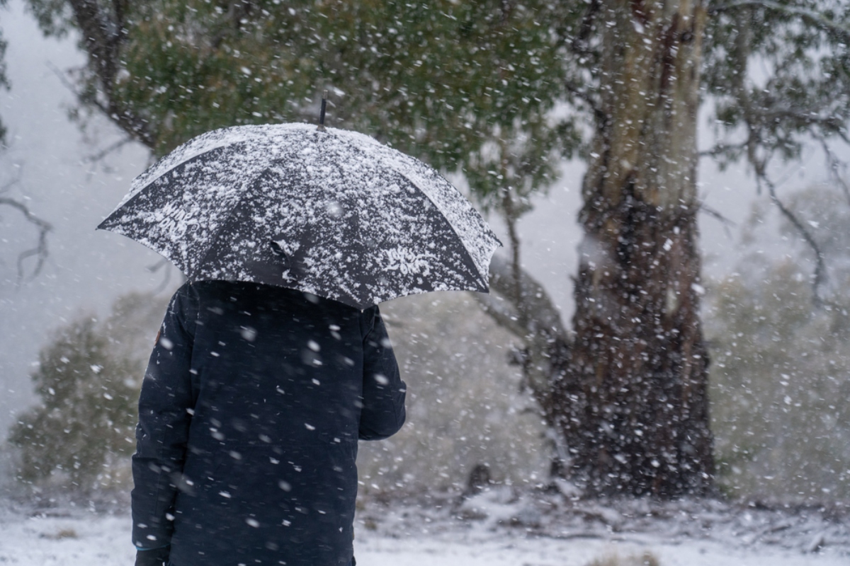 Dos tormentas costeras podrían volver a cubrir de nieve al noreste ...