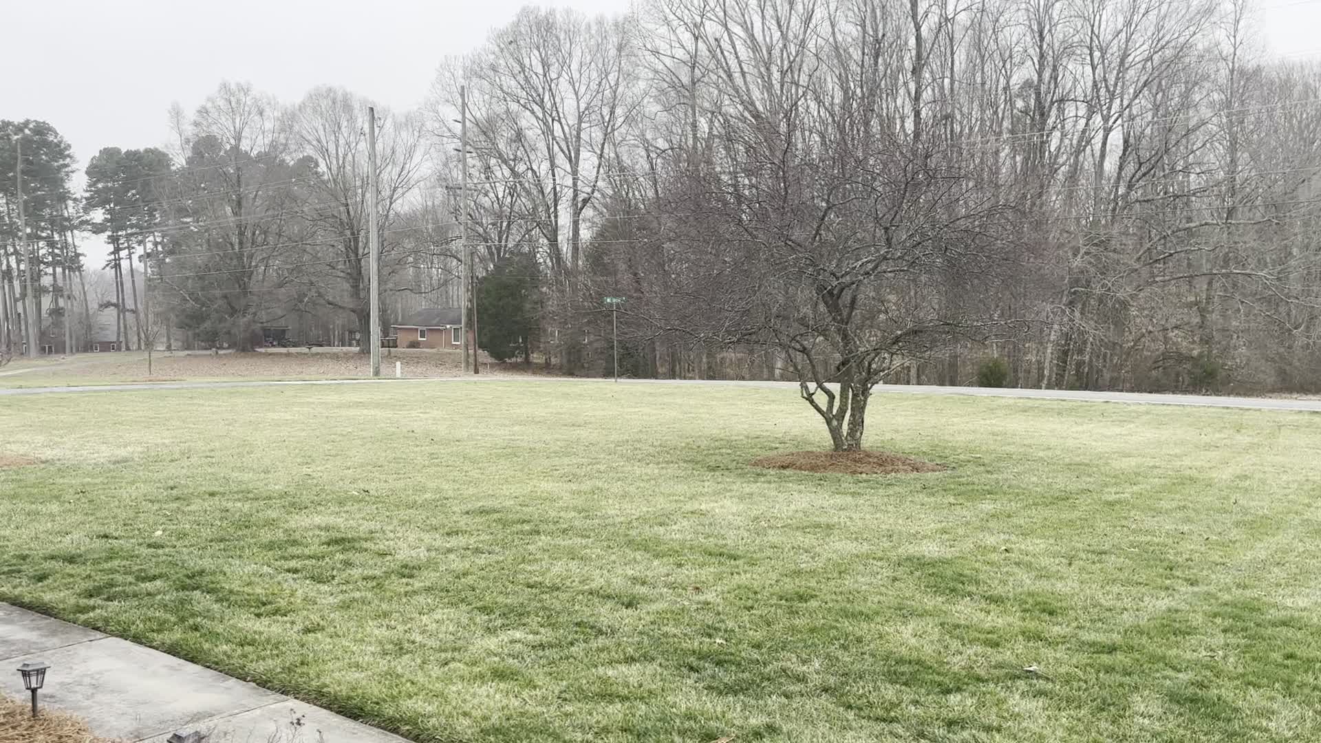 Snow in Davidson County