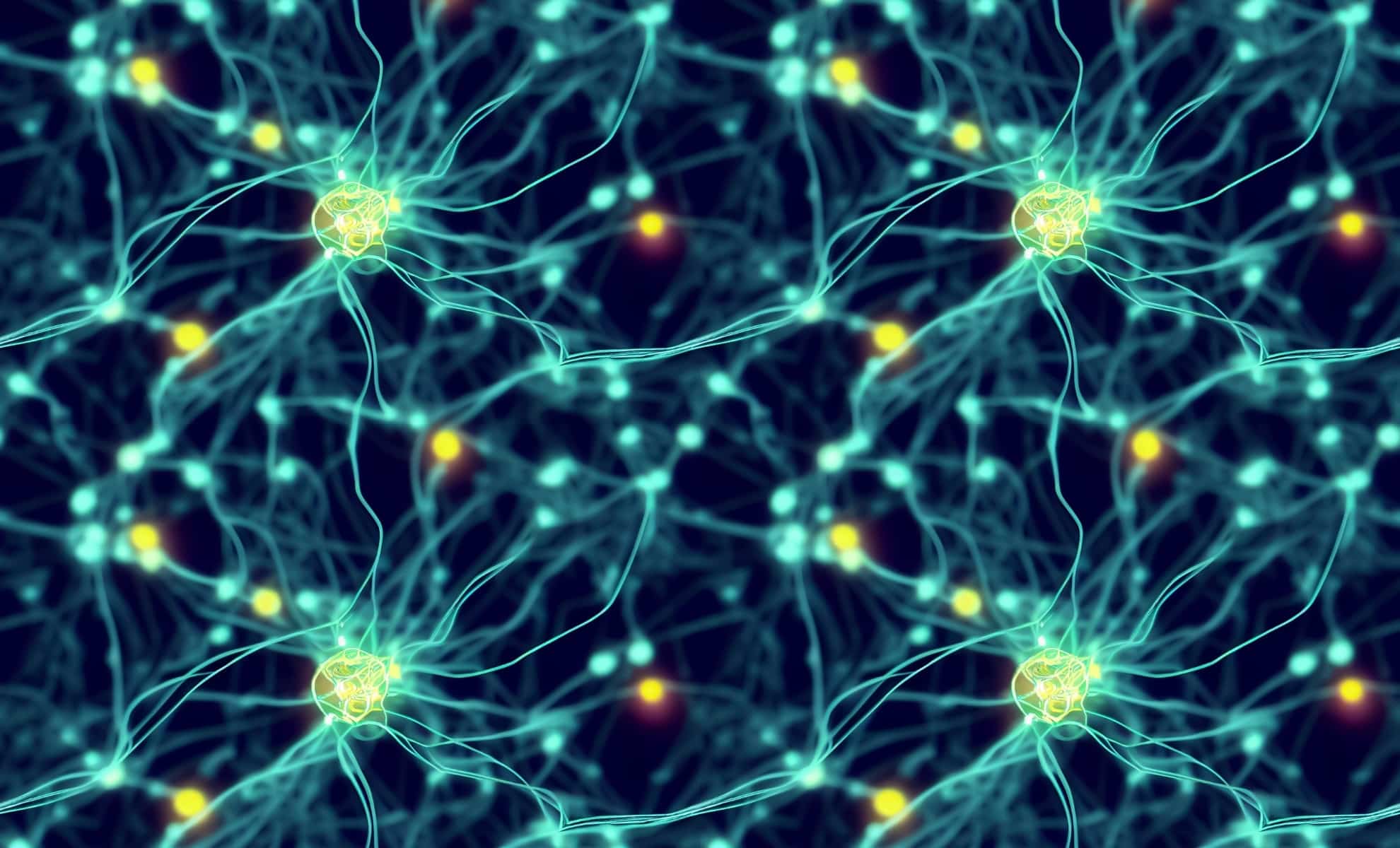 There are hidden fiber networks running through the human body, and ...