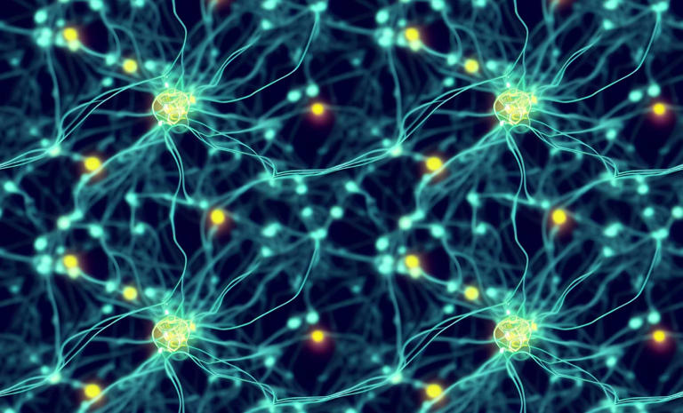 There are hidden fiber networks running through the human body, and ...