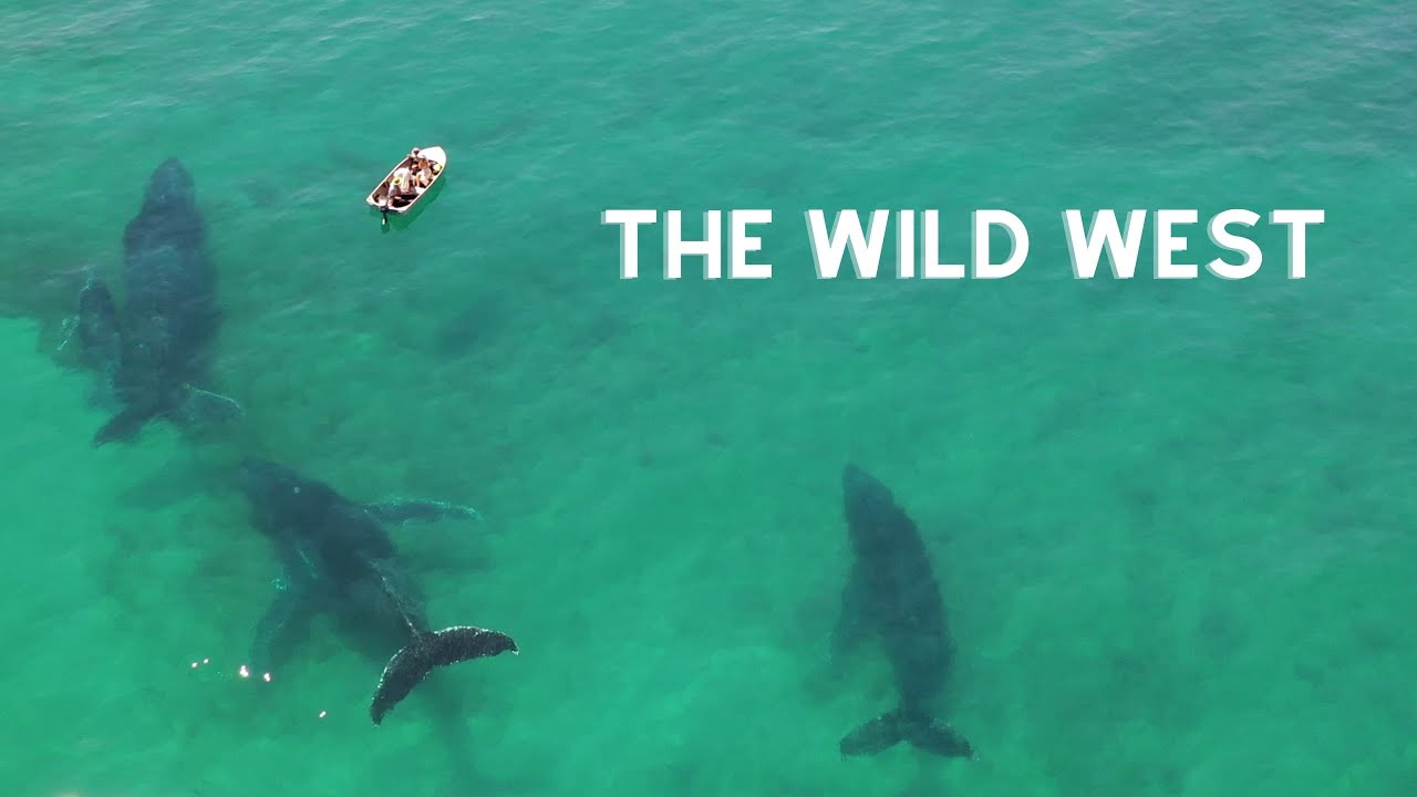 Can't believe this happened to us! | Western Australia vanlife travel ...