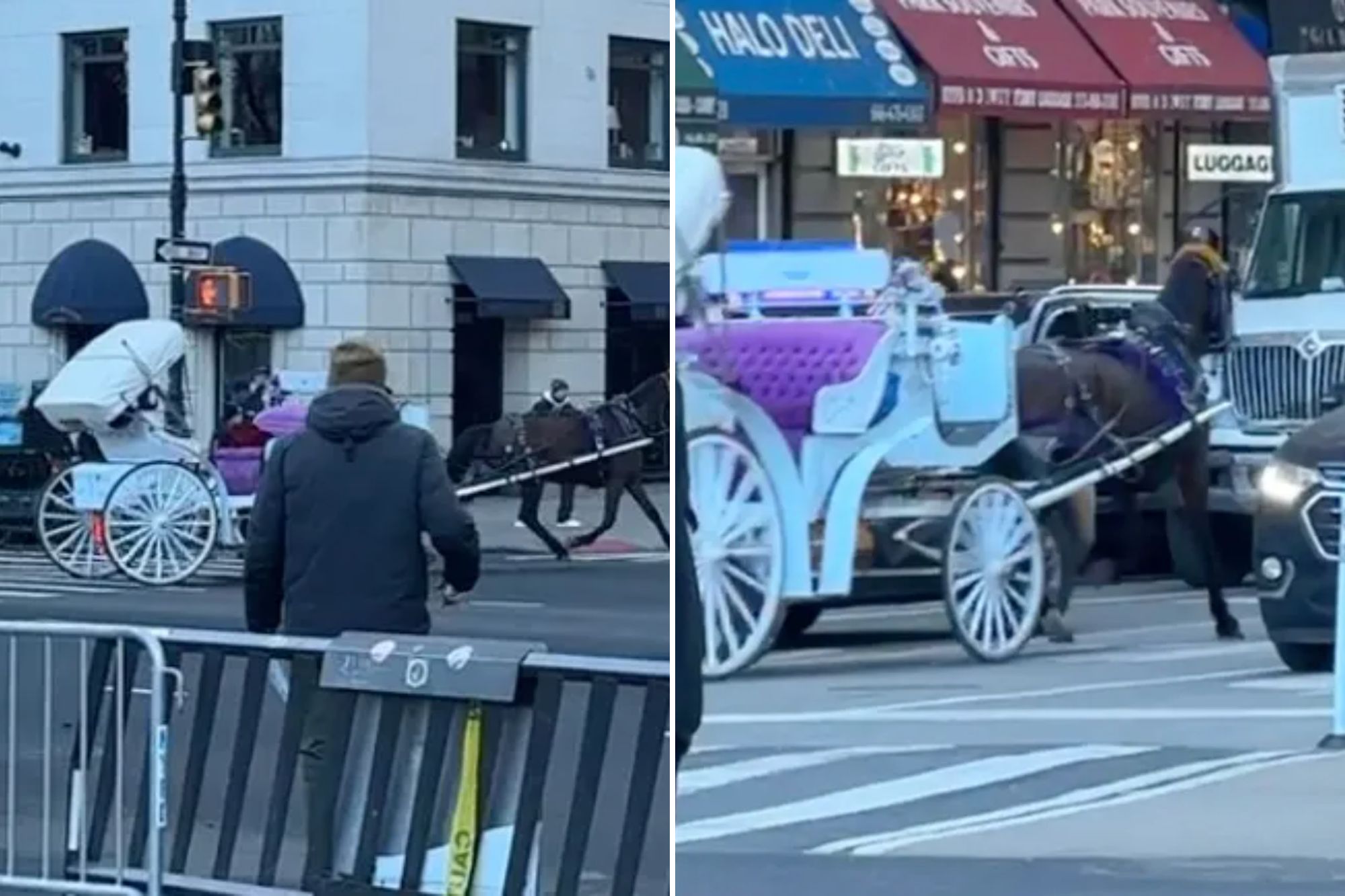 Wild video shows spooked NYC carriage horse running into Midtown ...