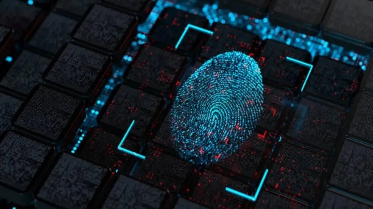 Tu CURP actual ya no servirá: El gobierno lanza el nuevo documento con ...