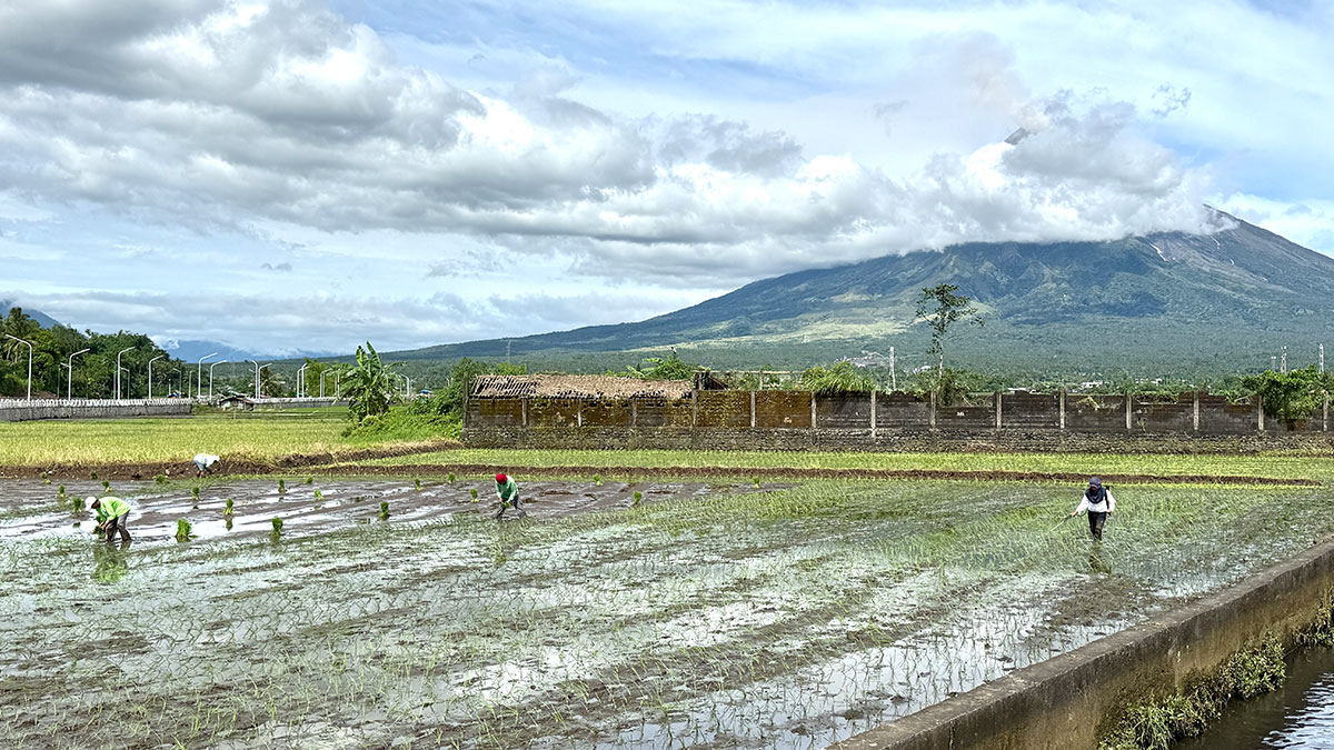 Farmers displaced by Mayon’s unrest to get livelihood training