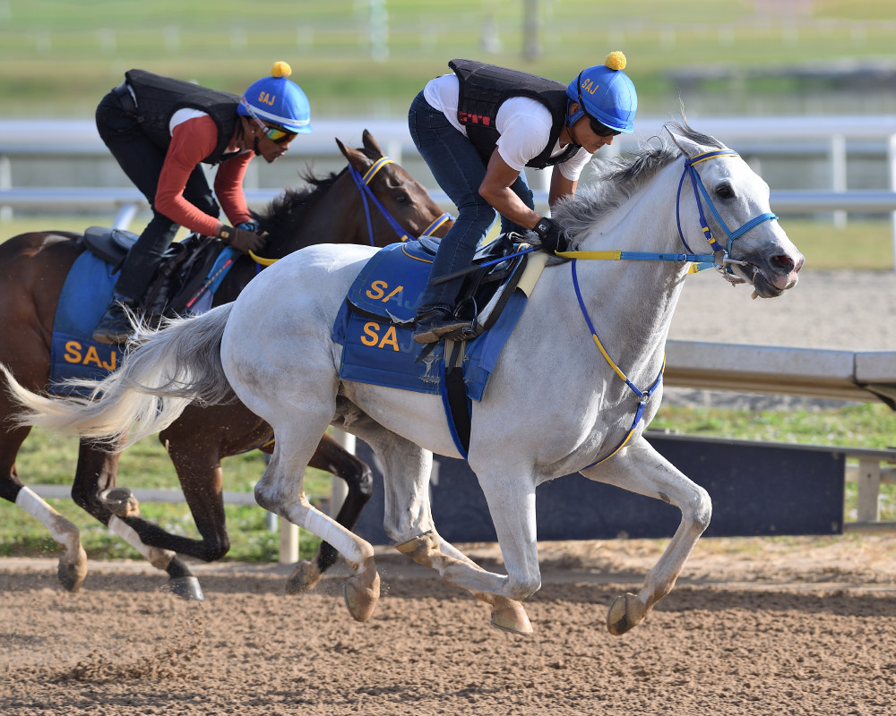 'We're on the right path': White Abarrio pleases with breeze toward ...