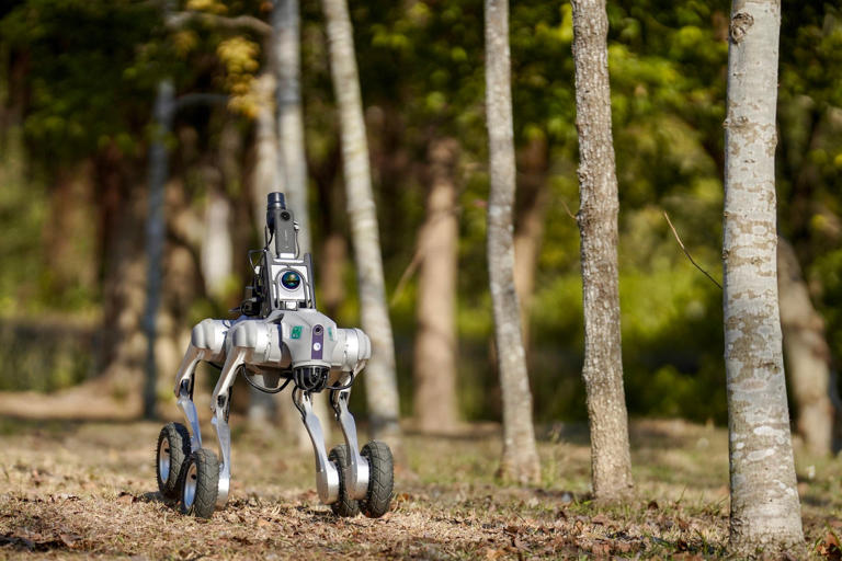 AI and laser-armed robot dogs sharpen Hong Kong’s environment impact ...