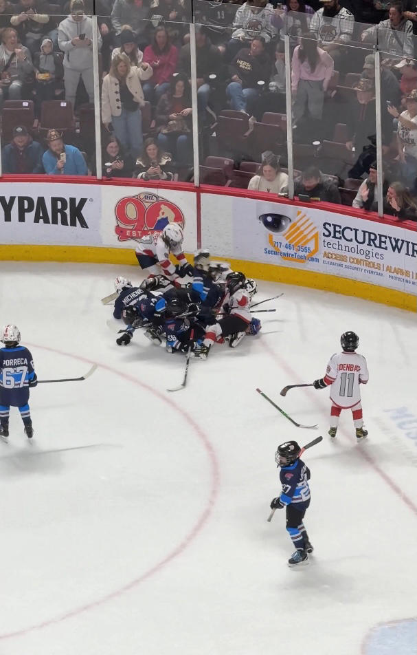 Youth hockey players get into wild brawl during game at AHL rink