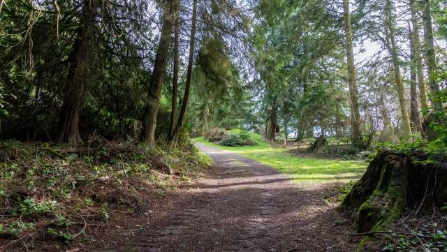 Officials announce success as rare bird comes back after it has been ...