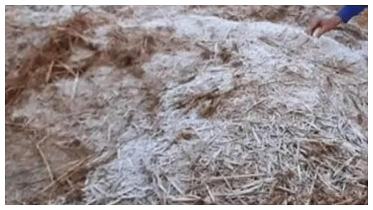 West Bengal weather: Is it snowing in Purulia? Scientists explain truth ...