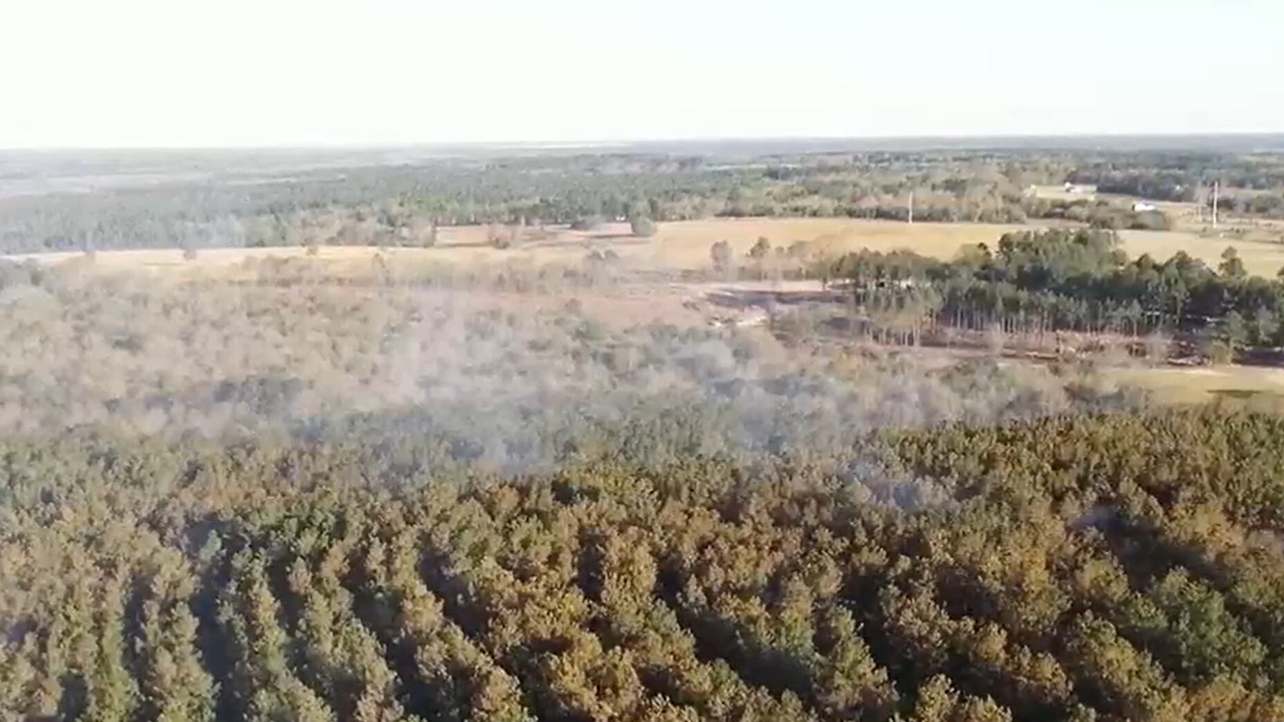 SC forestry issues red flag fire alert for 33 counties