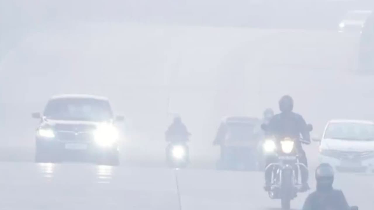 Delhi reels under intense cold spell, temperature drops to 2.9°C