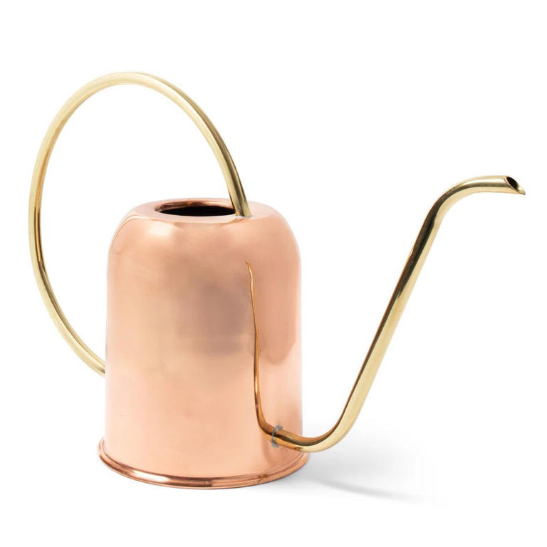 I finally perfected my indoor gardening capsule toolkit: 9 essentials