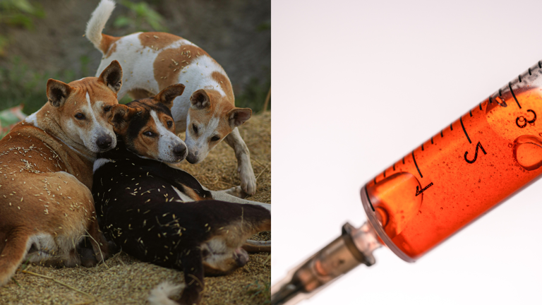 Hyderabad traffic alert: Restrictions around Yousufguda today for ...