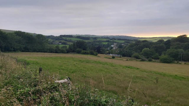 Experts issue warning after observing concerning change in lizard ...