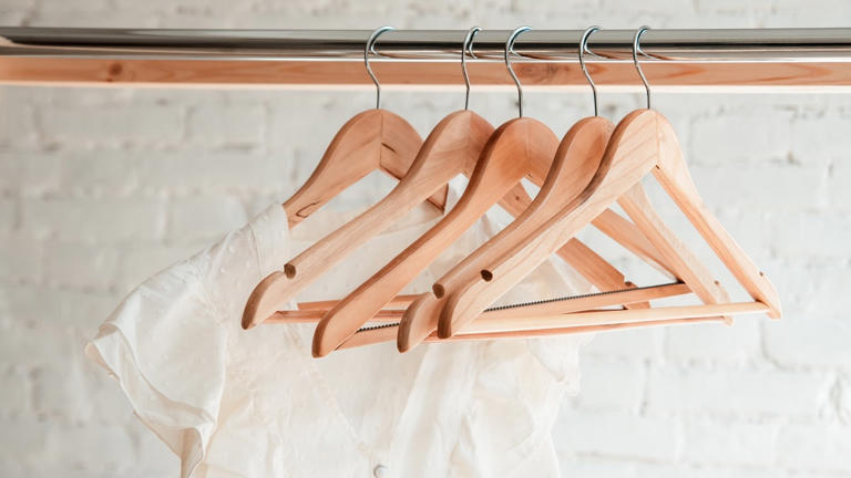 Ne jetez plus vos vieux cintres : ils peuvent sauver des oiseaux en ...