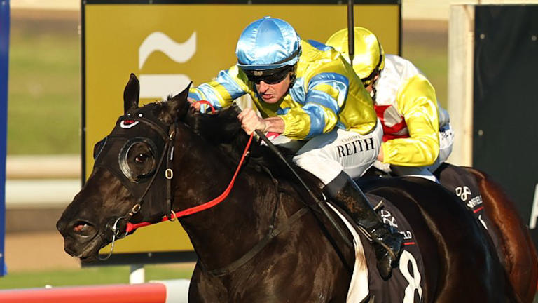 Reith hopes Russian Words can kick-start big day at Muswellbrook