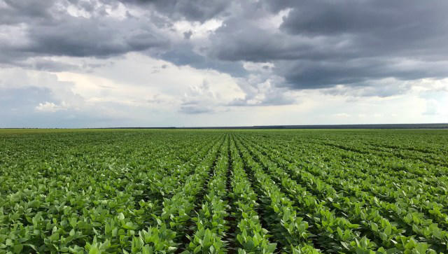 Researchers uncover overlooked factor making it hard for people to ...