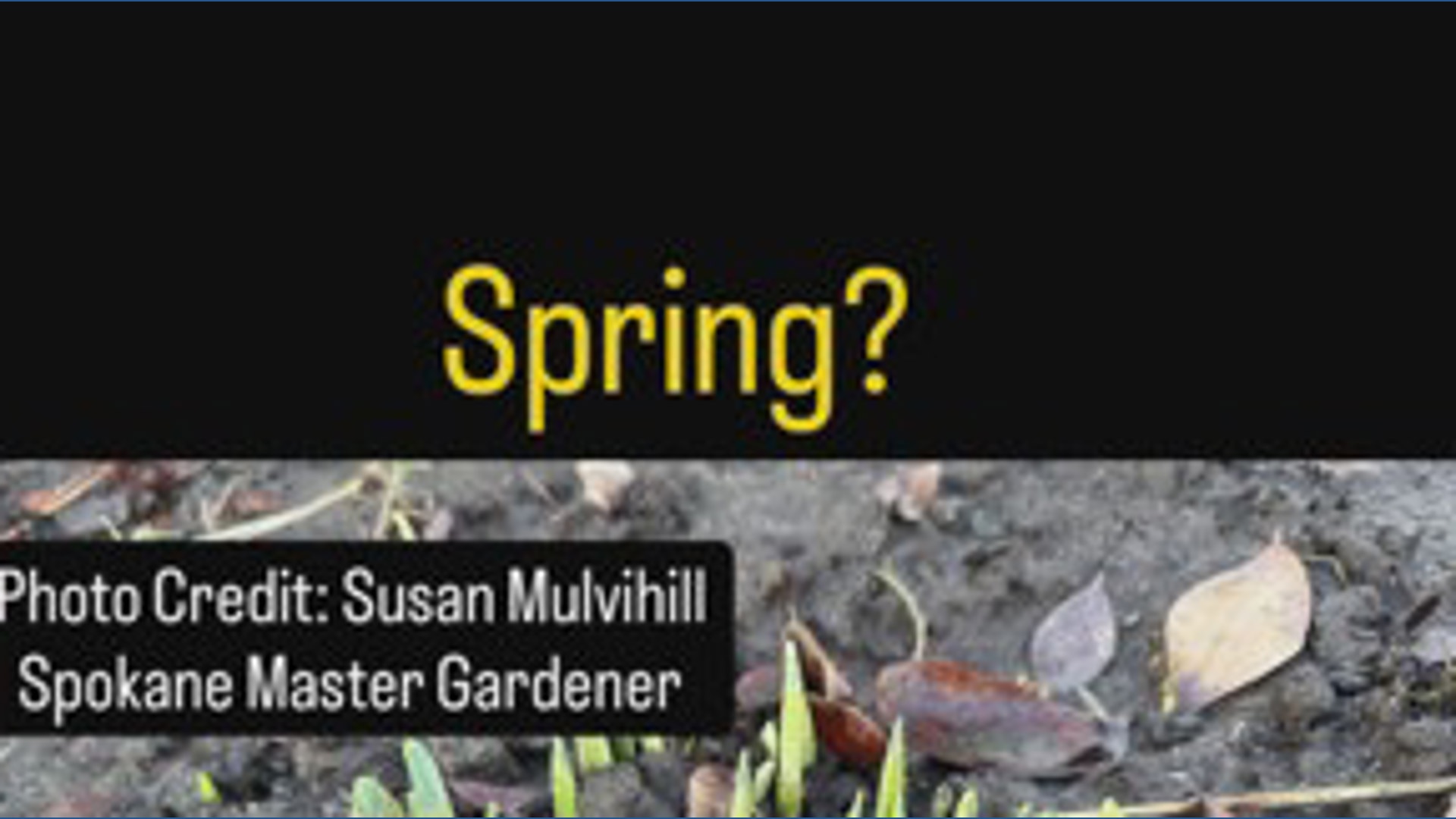 Mild temperatures to start the week