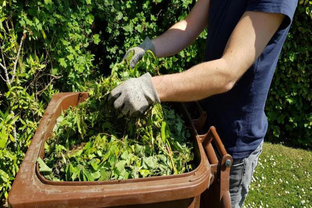 Garden waste bin collection subscriptions now open