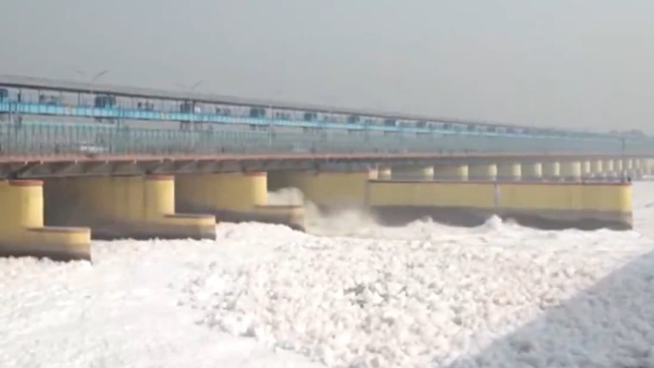 Has Yamuna river’s water quality deteriorated in recent months? This is ...