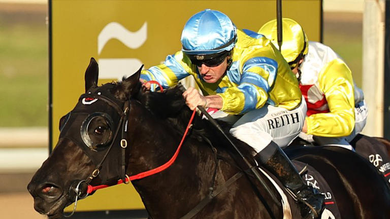 Reith hopes Russian Words can kick-start big day at Muswellbrook