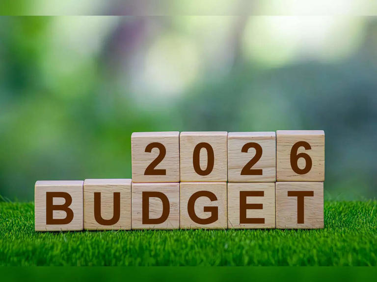 Budget 2026 wishlist: Why Section 80D tax deduction for health ...