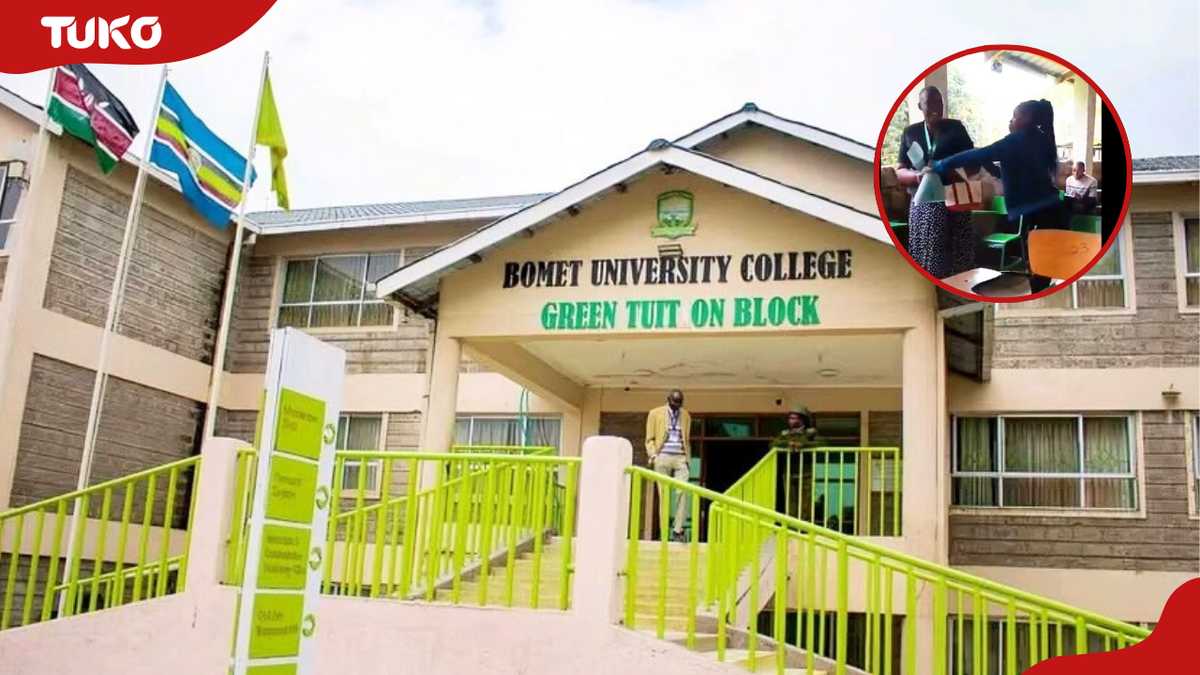 Bomet University College suspends student indefinitely for assaulting ...