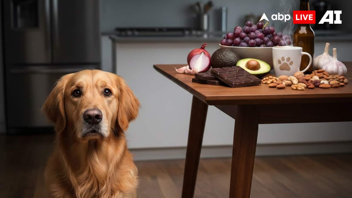 ABP Live Pet First: 8 human foods that are poisonous for dogs