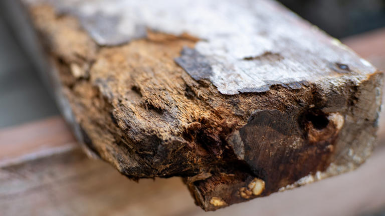 Save your outdoor wood furniture from rotting with these expert tips