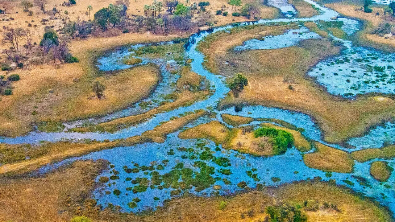 10 most iconic wetlands from around the world