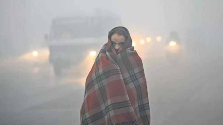 Weather update: Cold wave, dense fog tighten grip on north India; heavy ...