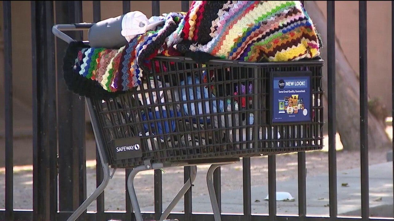 New shopping cart ordinance hopes to limit carts in Phoenix streets
