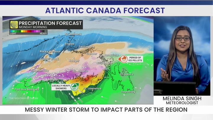 Newfoundland braces for dangerous Monday commute amid winter storm