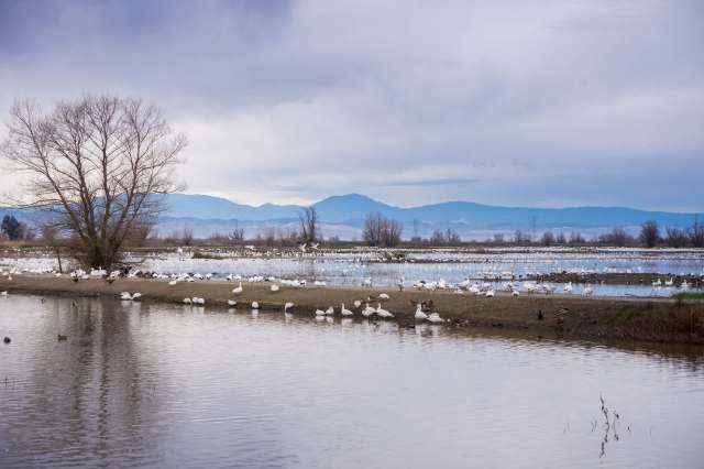 Experts stunned as California experiences unexpected conditions not ...