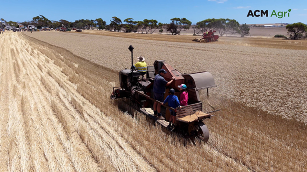 Vintage harvesters showcase evolution of grain harvesting on Yorke ...