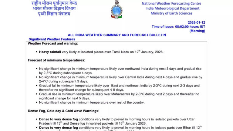 Dense fog and cold wave to disrupt travel plans in these Indian states ...