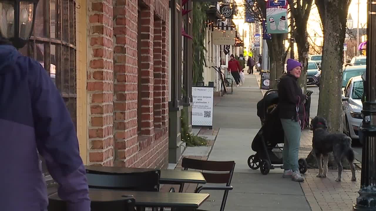 Catonsville small businesses targeted by thieves