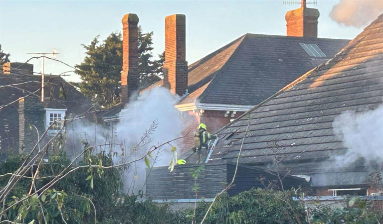 Faversham Literary Festival, featuring Bob Geldof and Trevor McDonald ...