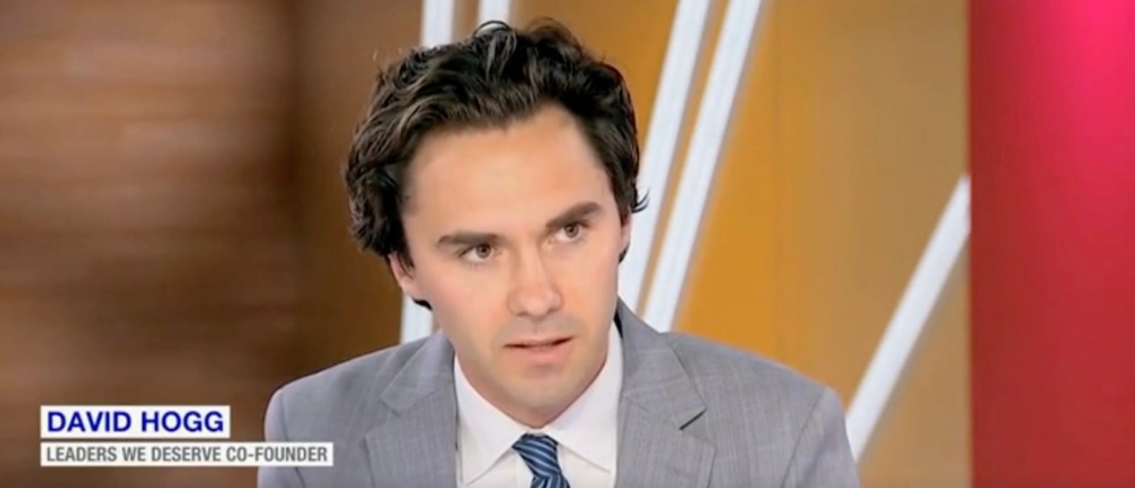 David Hogg claims criticism of Renee Good is ‘dangerous’ while blasting ...