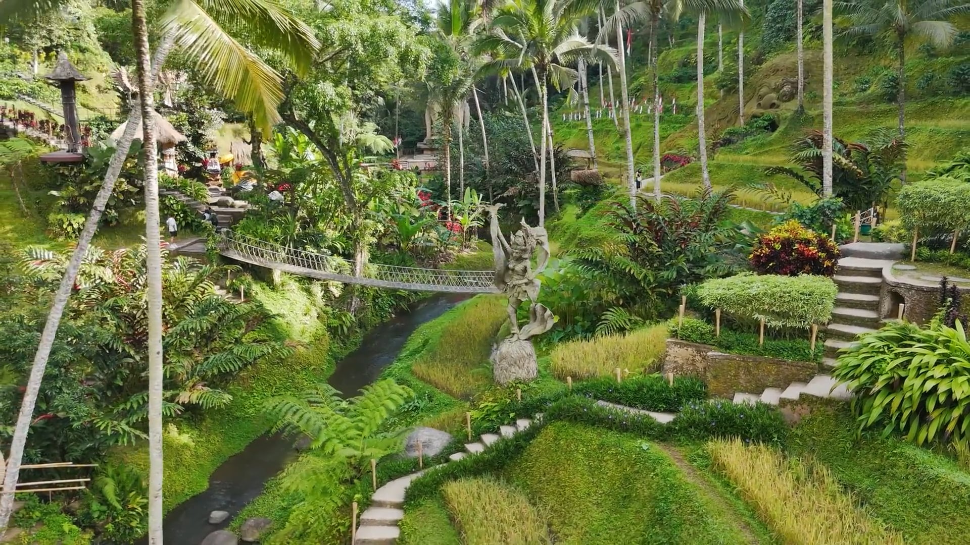 Ubud, Bali: Drone avslører et av Indonesias mest berømte landskap