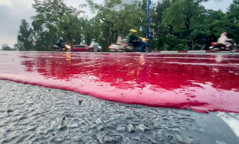 Motorcyclists raise concerns over slippery bicycle lanes in Ho Chi Minh ...