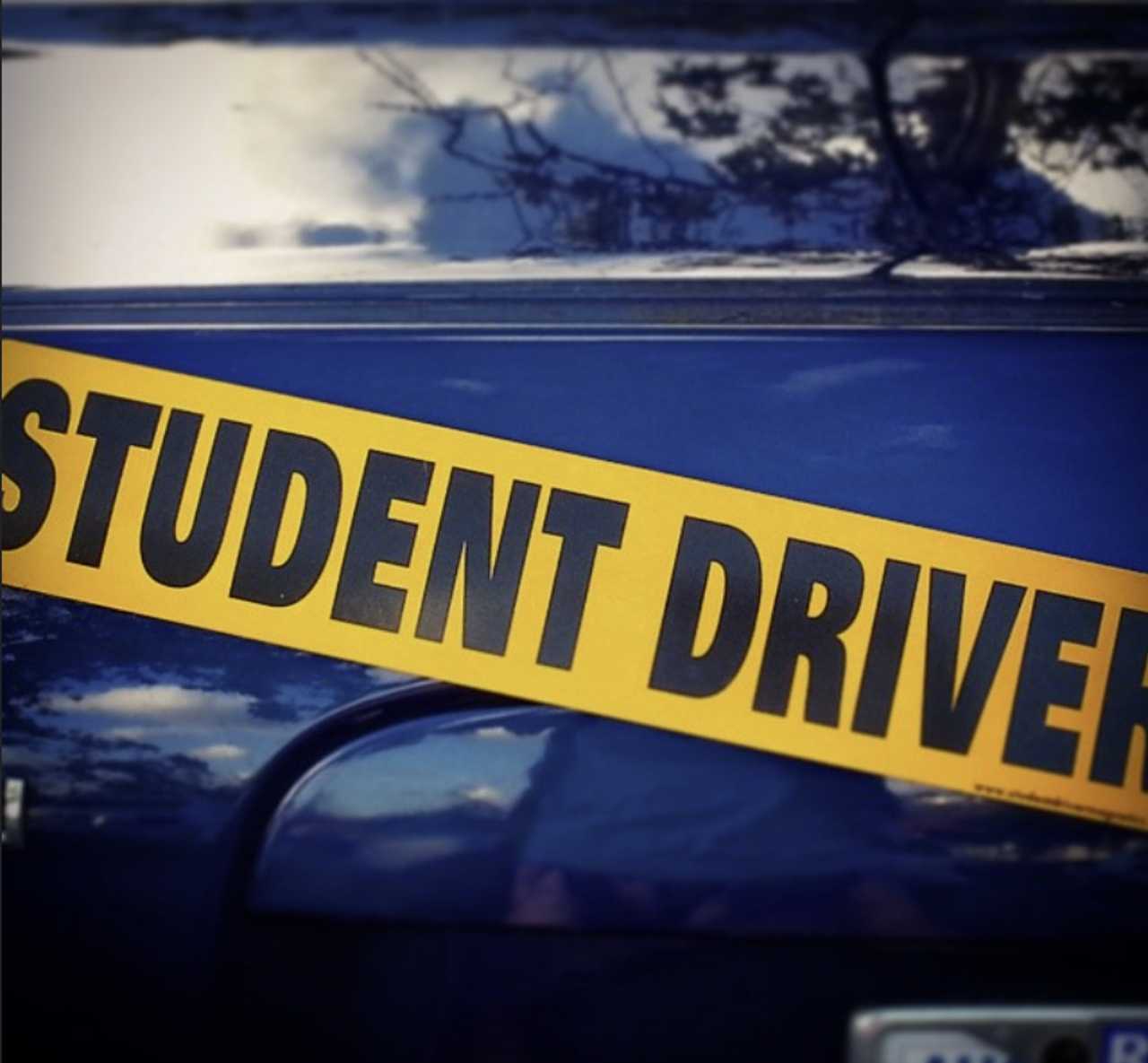 Driving teacher Mitchell Lerner showed teens porn, police say