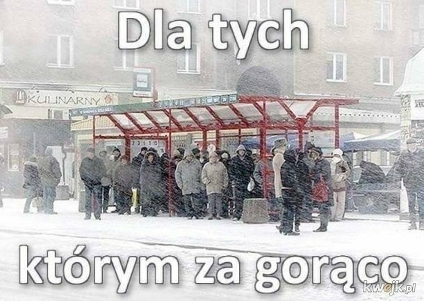 To najlepsze MEMY o zimie! Śnieg i mróz okiem internautów. Nie lubisz ...