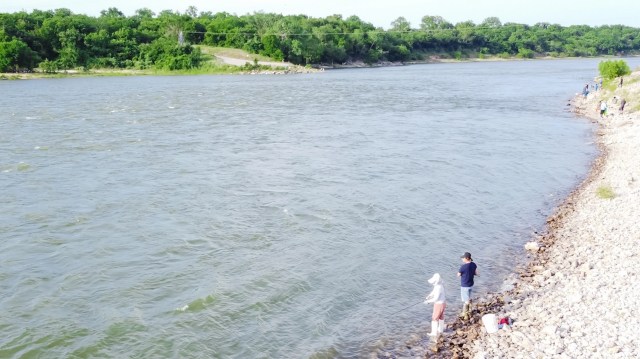 Officials issue $100 bounties for fishermen to catch harmful creatures ...