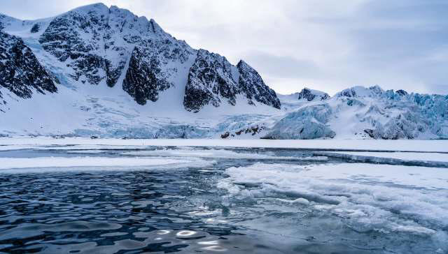 Experts issue warning over major threat to iconic creatures: 'Cascading ...