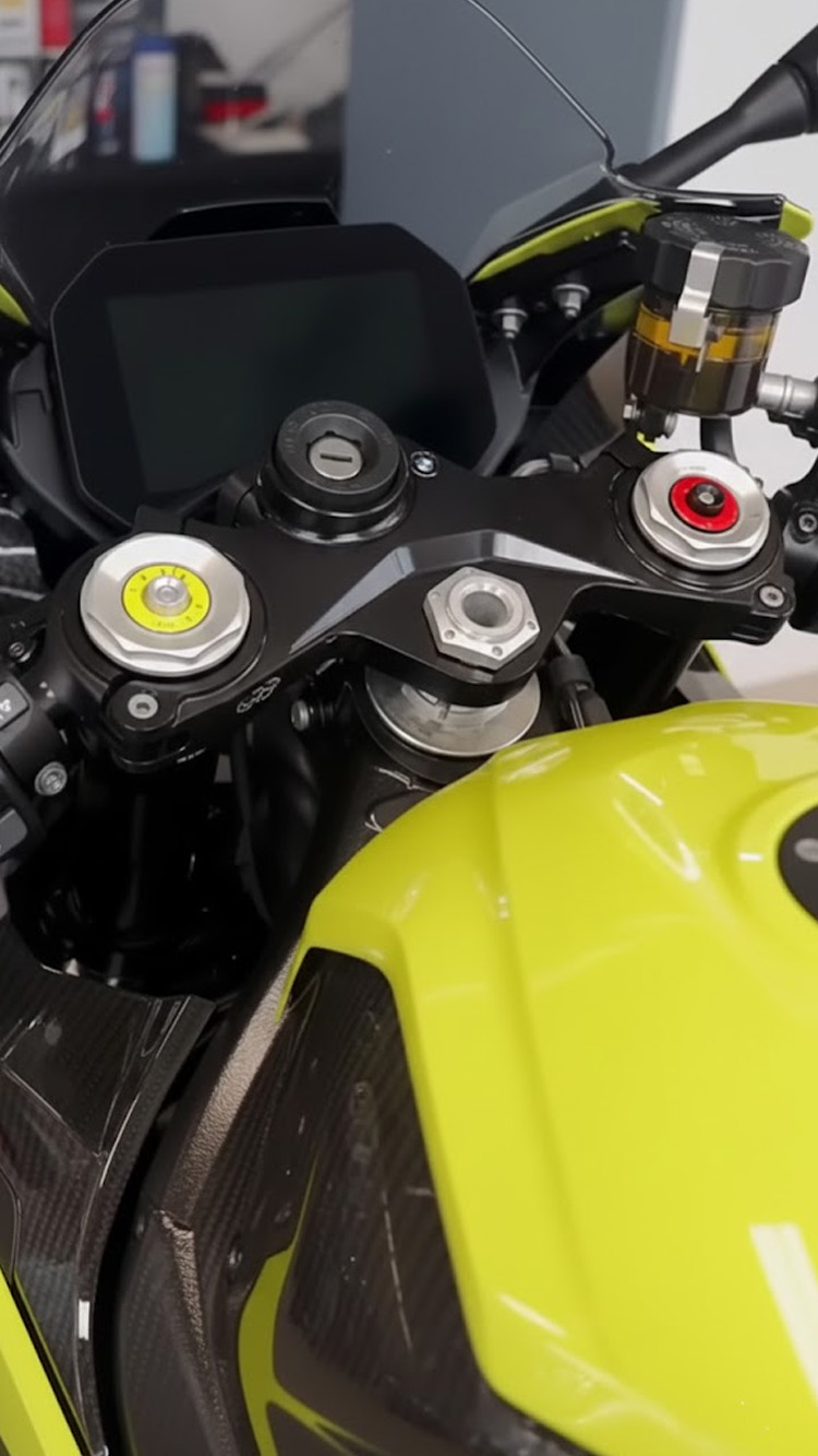 Would you ride an M1000RR?