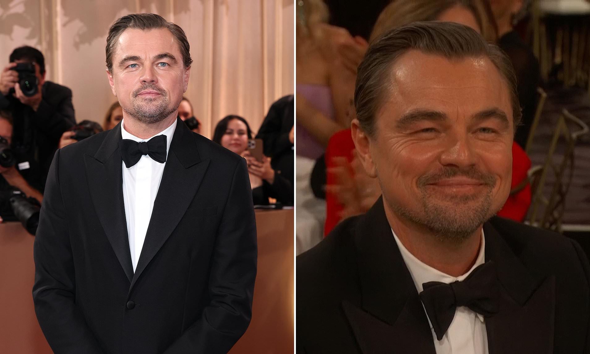 Leonardo DiCaprio stopped by security while returning to his seat ...