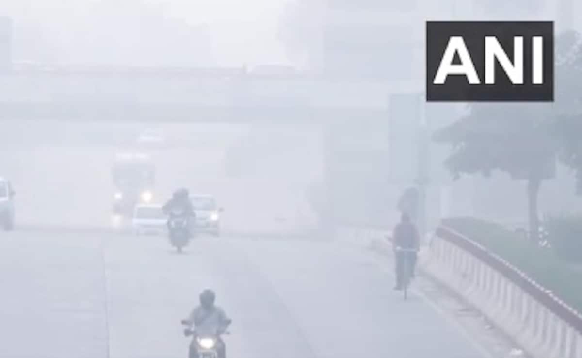 Delhi freezes at 2.9 degrees Celsius as cold wave intensifies