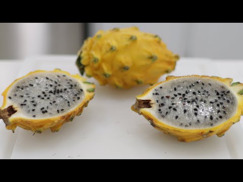 How to eat yellow dragon fruit (pitahaya, pitaya) | Taste test